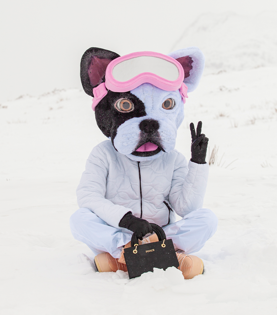 FAQ'S - My Cute Pooch